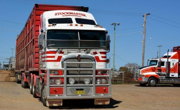 Stockmaster Archives | Driver Jobs Australia